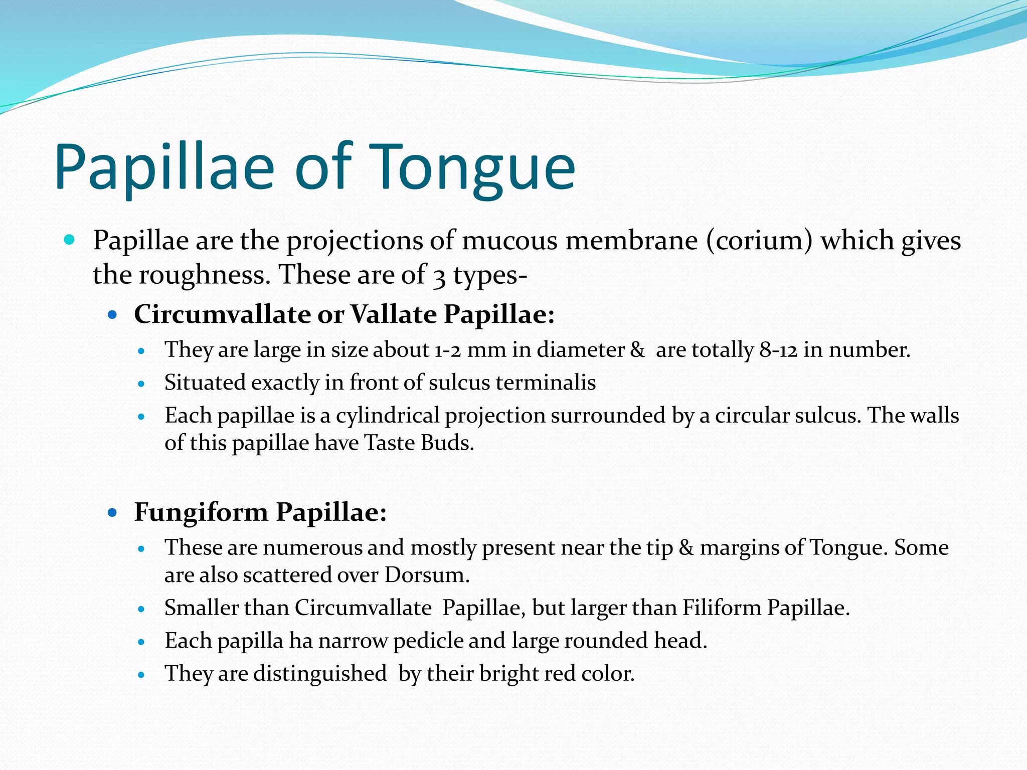 DIGESTIVE SYSTEM anatomy and physiology of Bsc nursing pdf/pptx | PDF