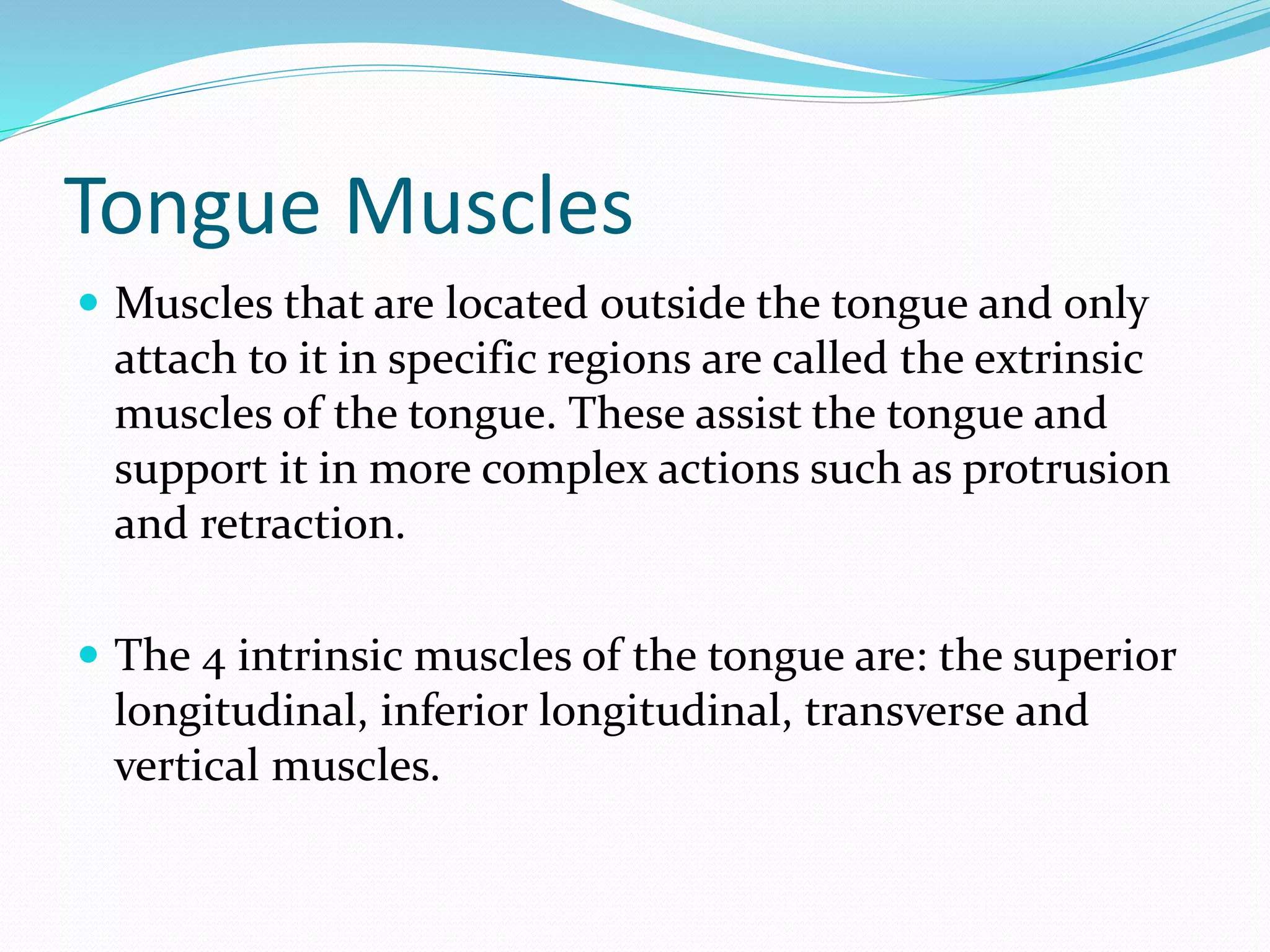 DIGESTIVE SYSTEM anatomy and physiology of Bsc nursing pdf/pptx | PDF