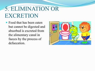 DIGESTIVE SYSTEM anatomy and physiology of Bsc nursing pdf/pptx | PDF