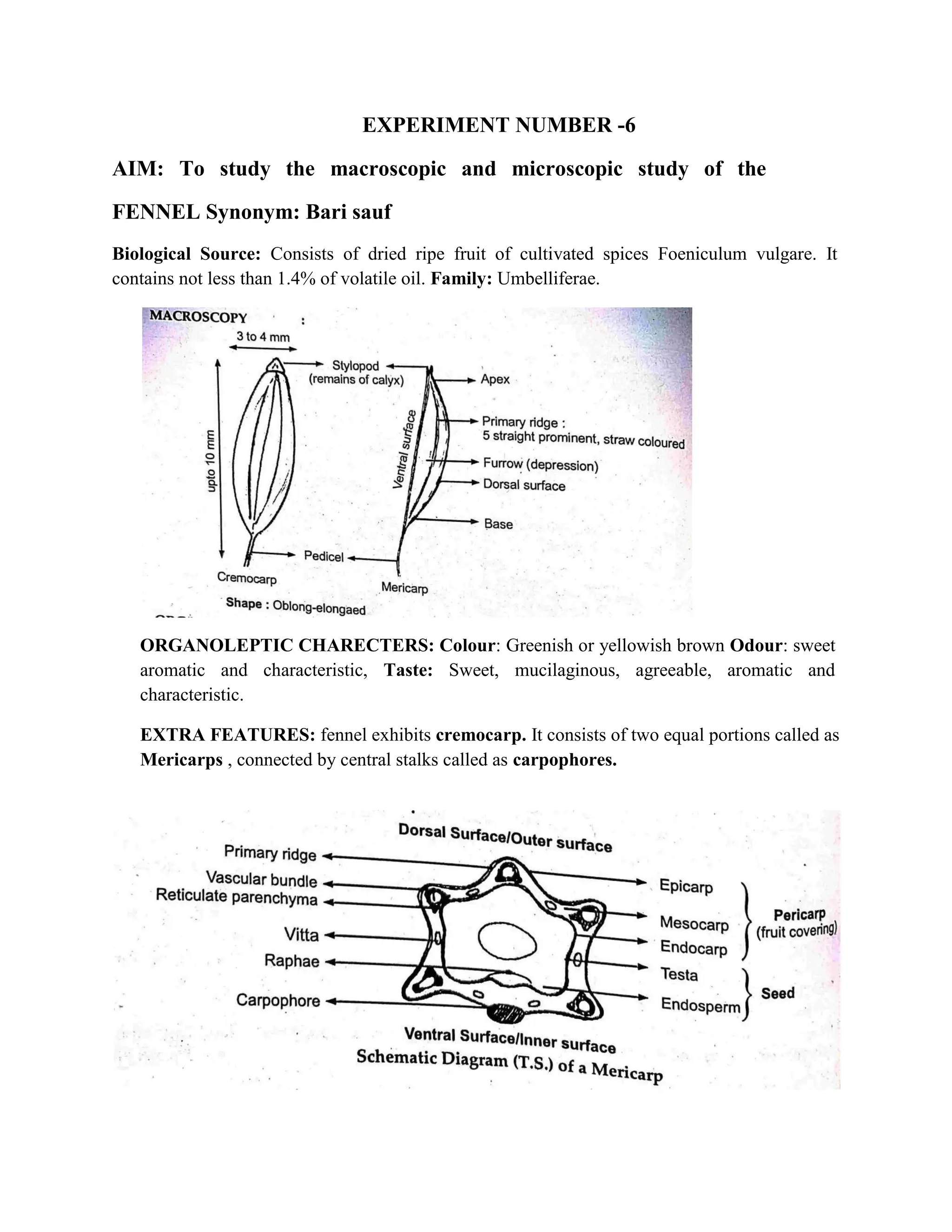 Practical Manual of Pharmacognosy Diploma in Pharmacy 1st year.pdf