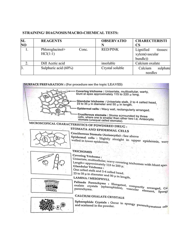 Practical Manual of Pharmacognosy Diploma in Pharmacy 1st year.pdf