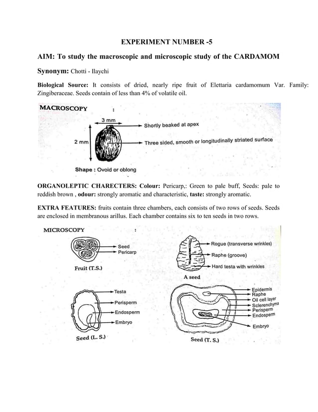 Practical Manual of Pharmacognosy Diploma in Pharmacy 1st year.pdf