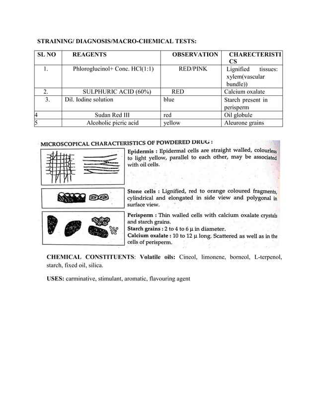 Practical Manual of Pharmacognosy Diploma in Pharmacy 1st year.pdf
