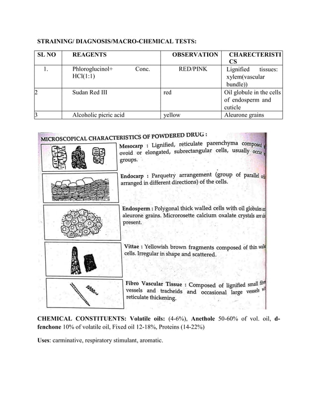 Practical Manual of Pharmacognosy Diploma in Pharmacy 1st year.pdf