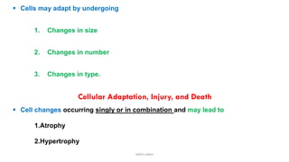 ilovepdf_merged-4.pdf | Biological Sciences | Science