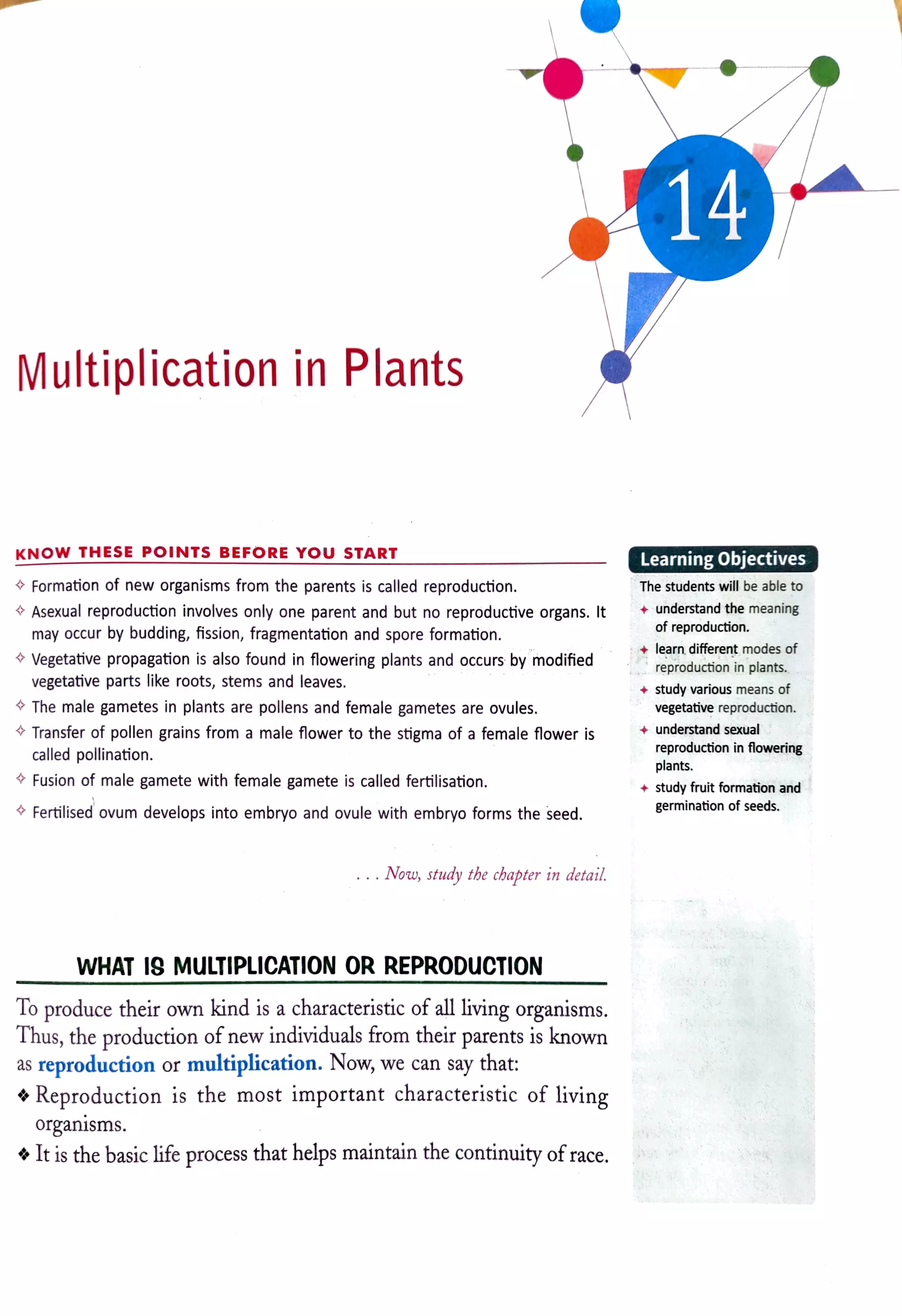 Class 7 Chapter 14 | PDF