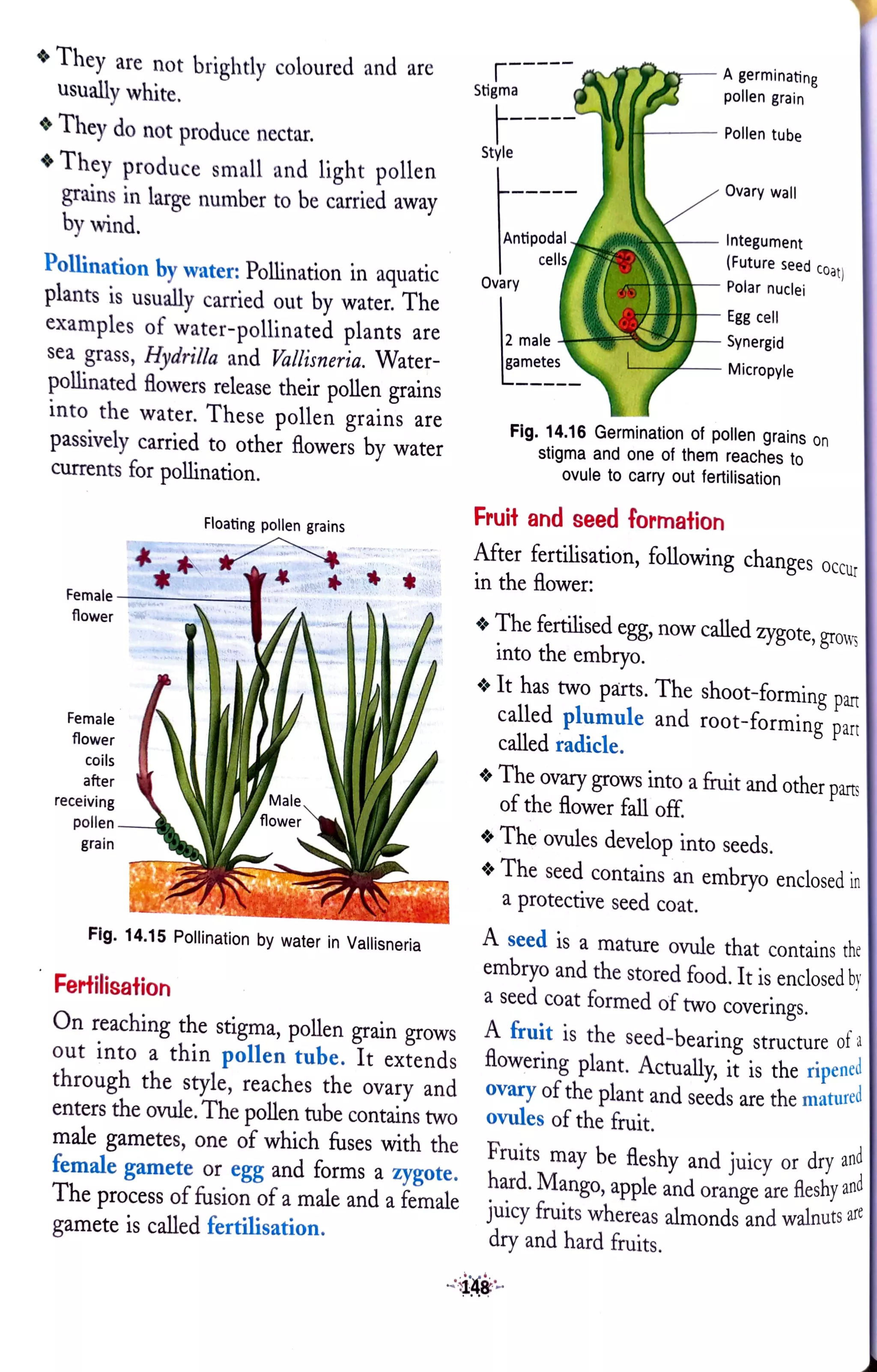 Class 7 Chapter 14 | PDF