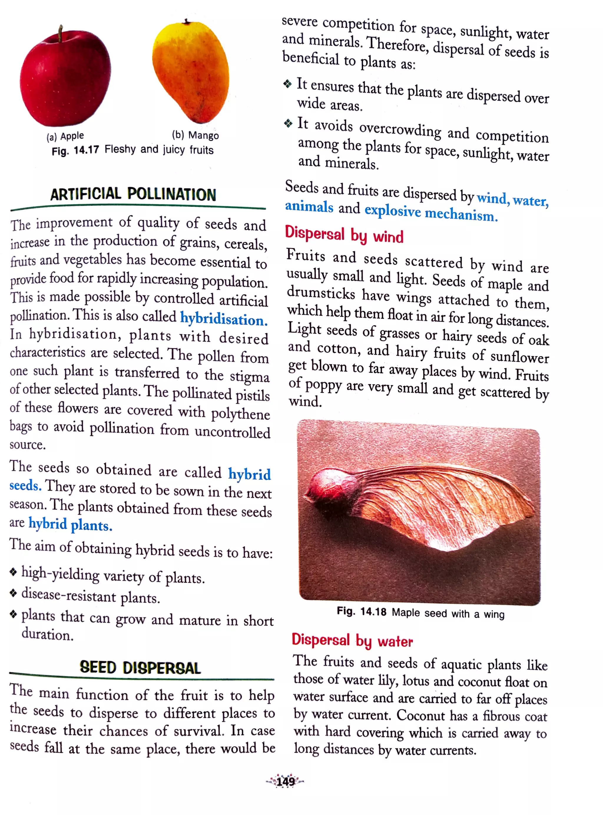 Class 7 Chapter 14 | PDF