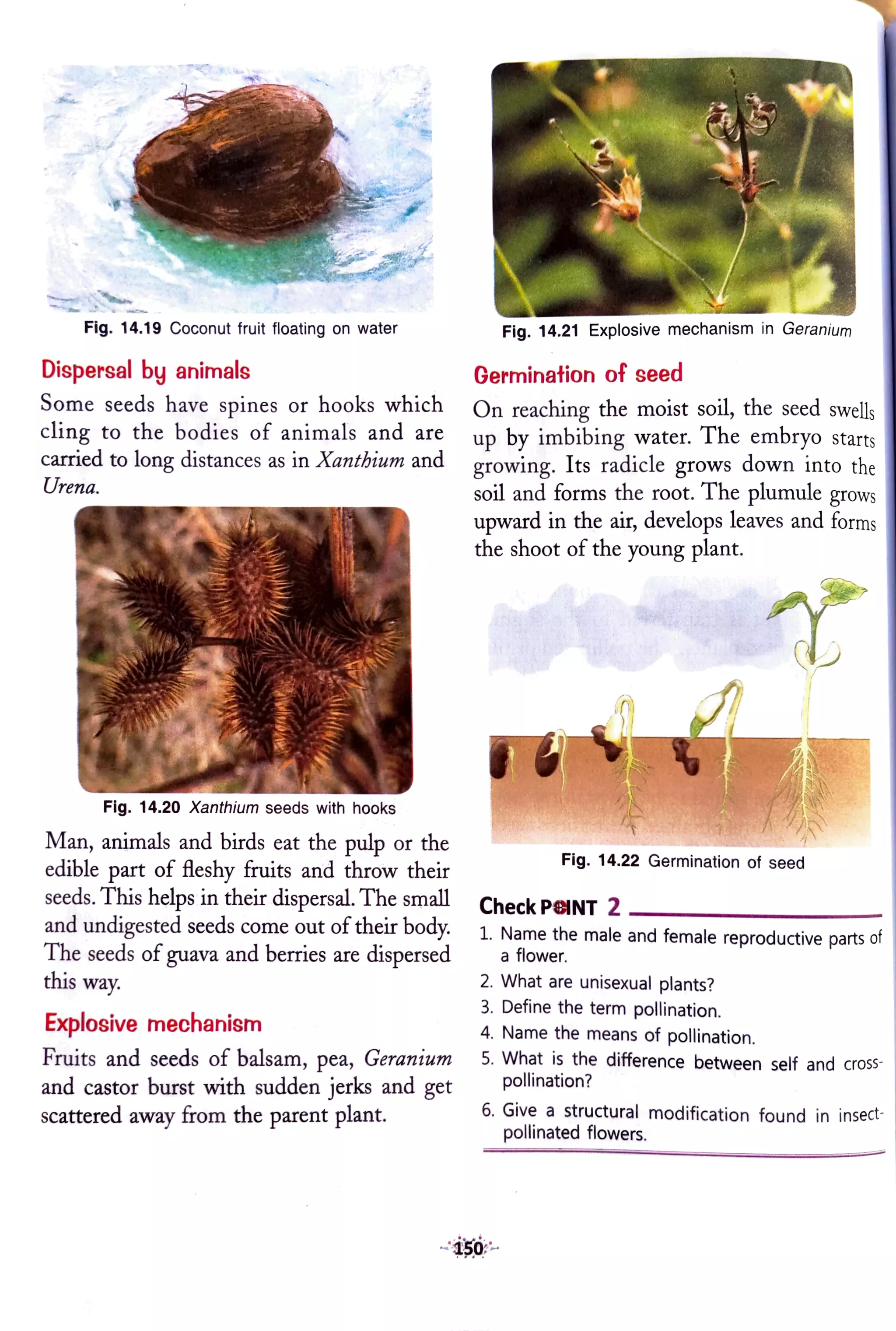 Class 7 Chapter 14 | PDF