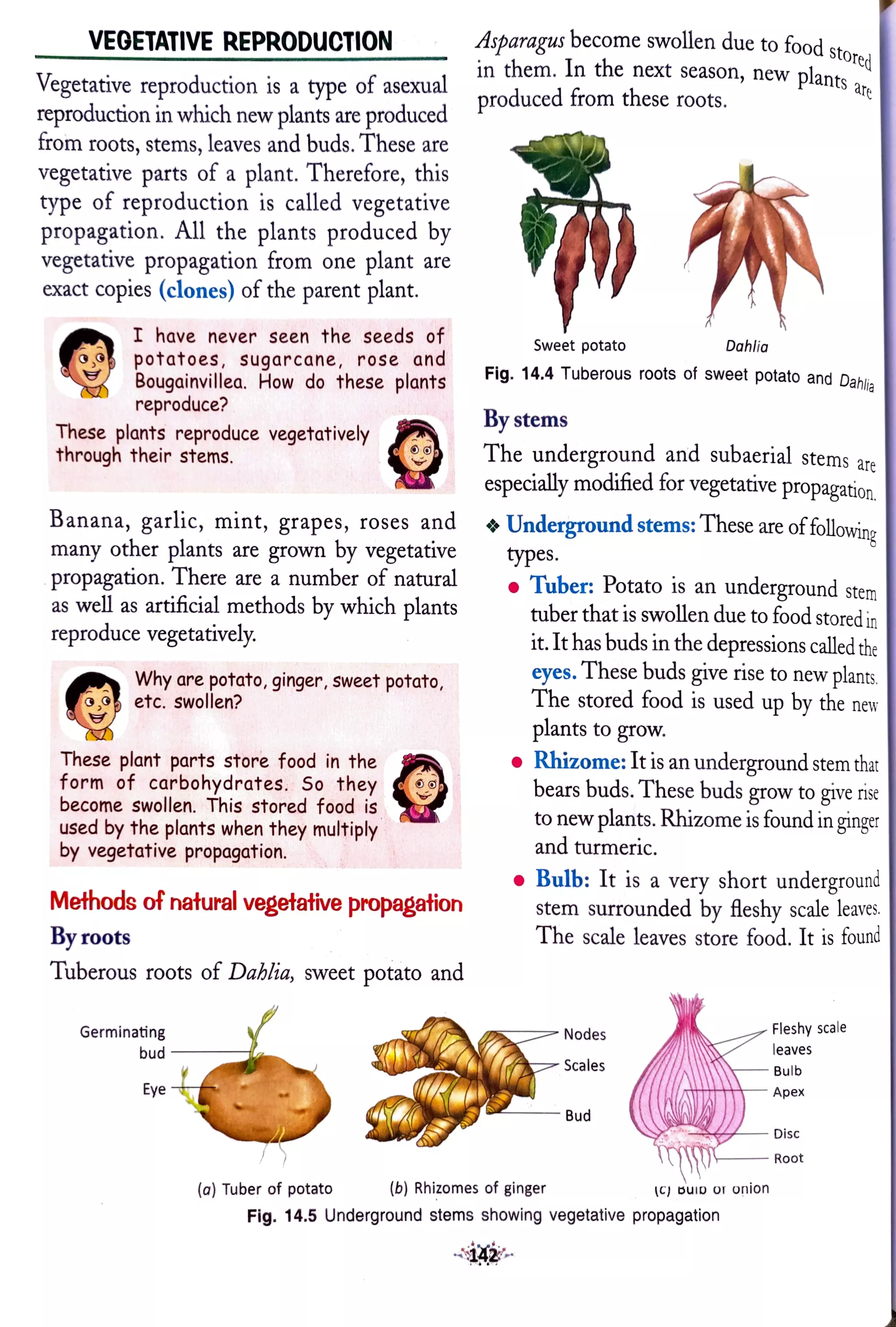 Class 7 Chapter 14 | PDF