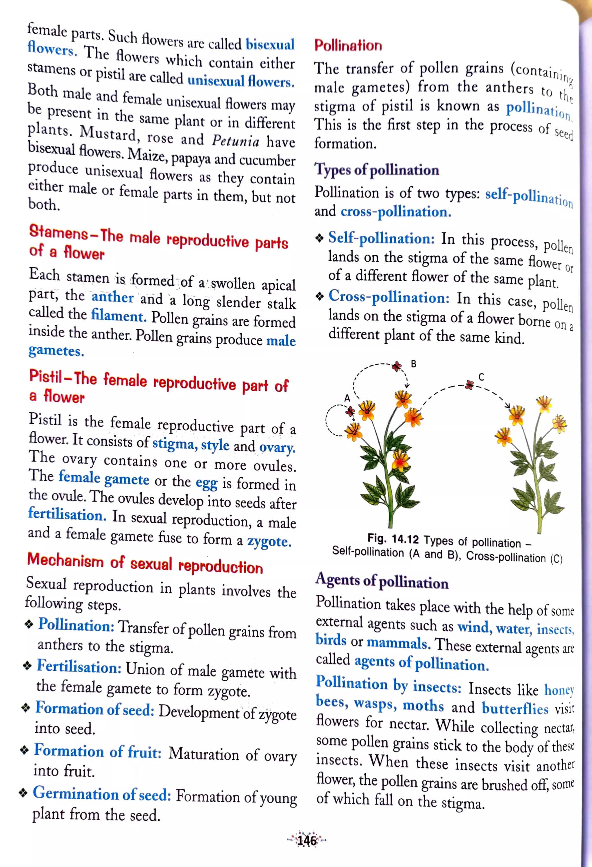 Class 7 Chapter 14 | PDF