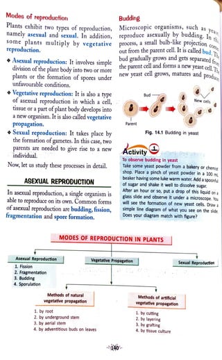 Class 7 Chapter 14 | PDF