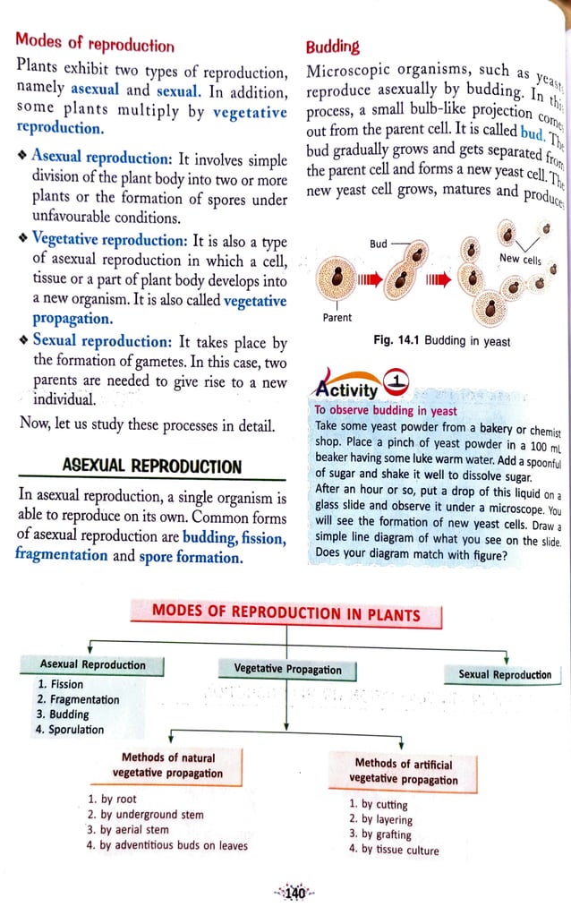 Class 7 Chapter 14 | PDF