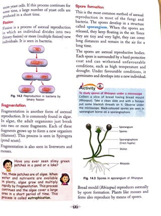 Class 7 Chapter 14 | PDF