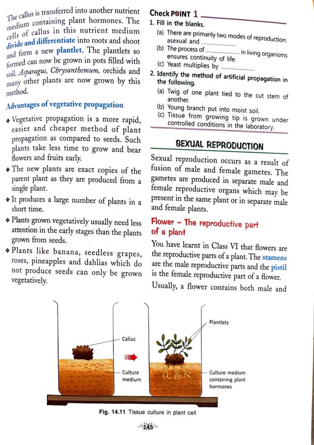 Class 7 Chapter 14 | PDF