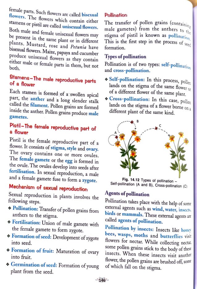 Class 7 Chapter 14 | PDF