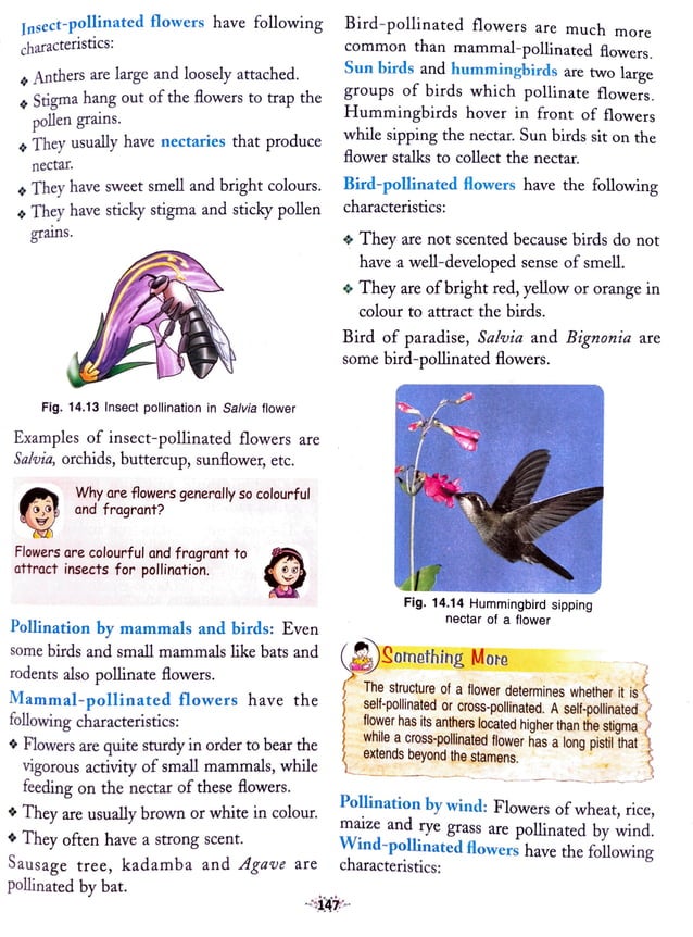 Class 7 Chapter 14 | PDF