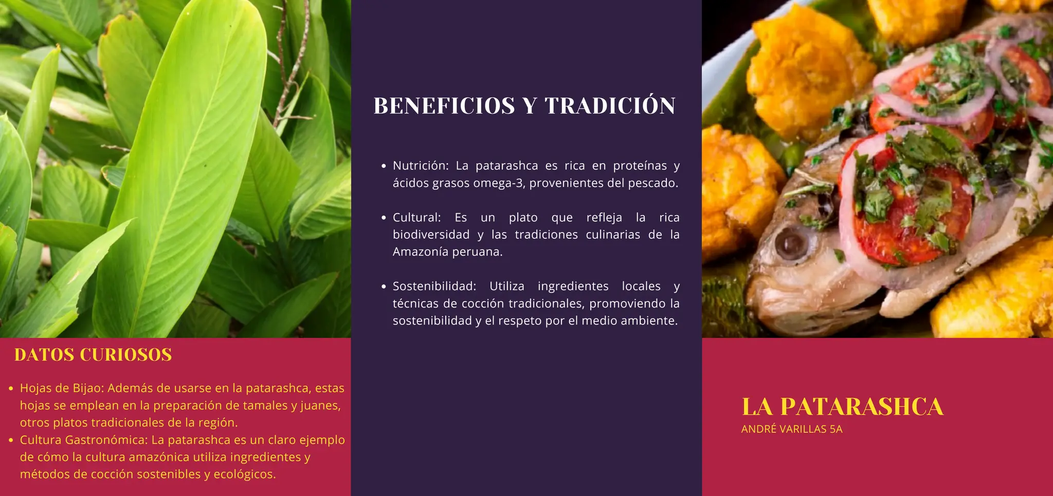 palto tipico patashca lo maximo del diaq | PDF