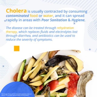 What Is Cholera? | PDF