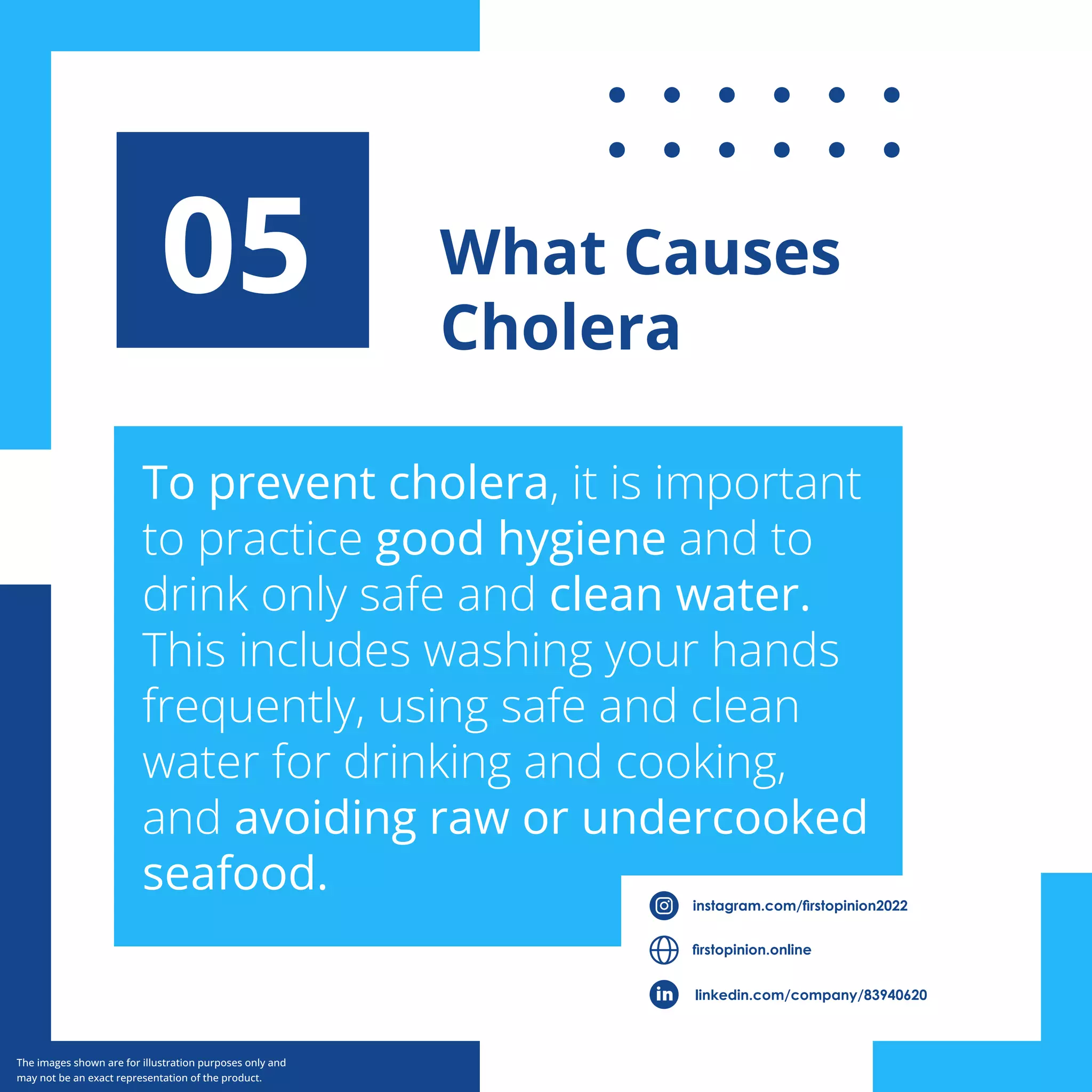 Causes of Cholera | PDF