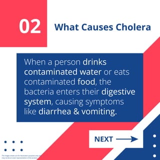 Causes of Cholera | PDF