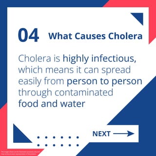 Causes of Cholera | PDF