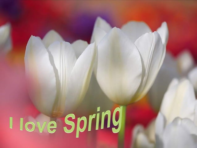 I love spring | PPS