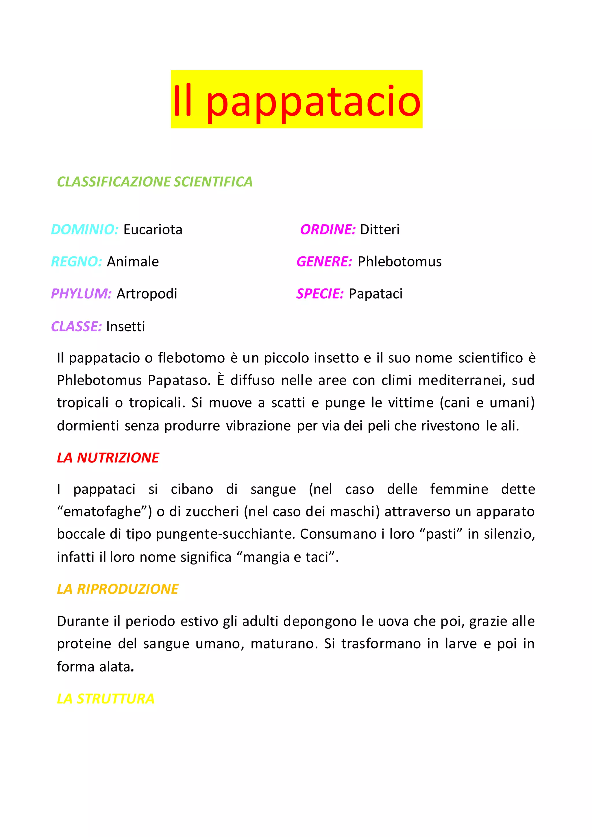 Il pappatacio | DOCX