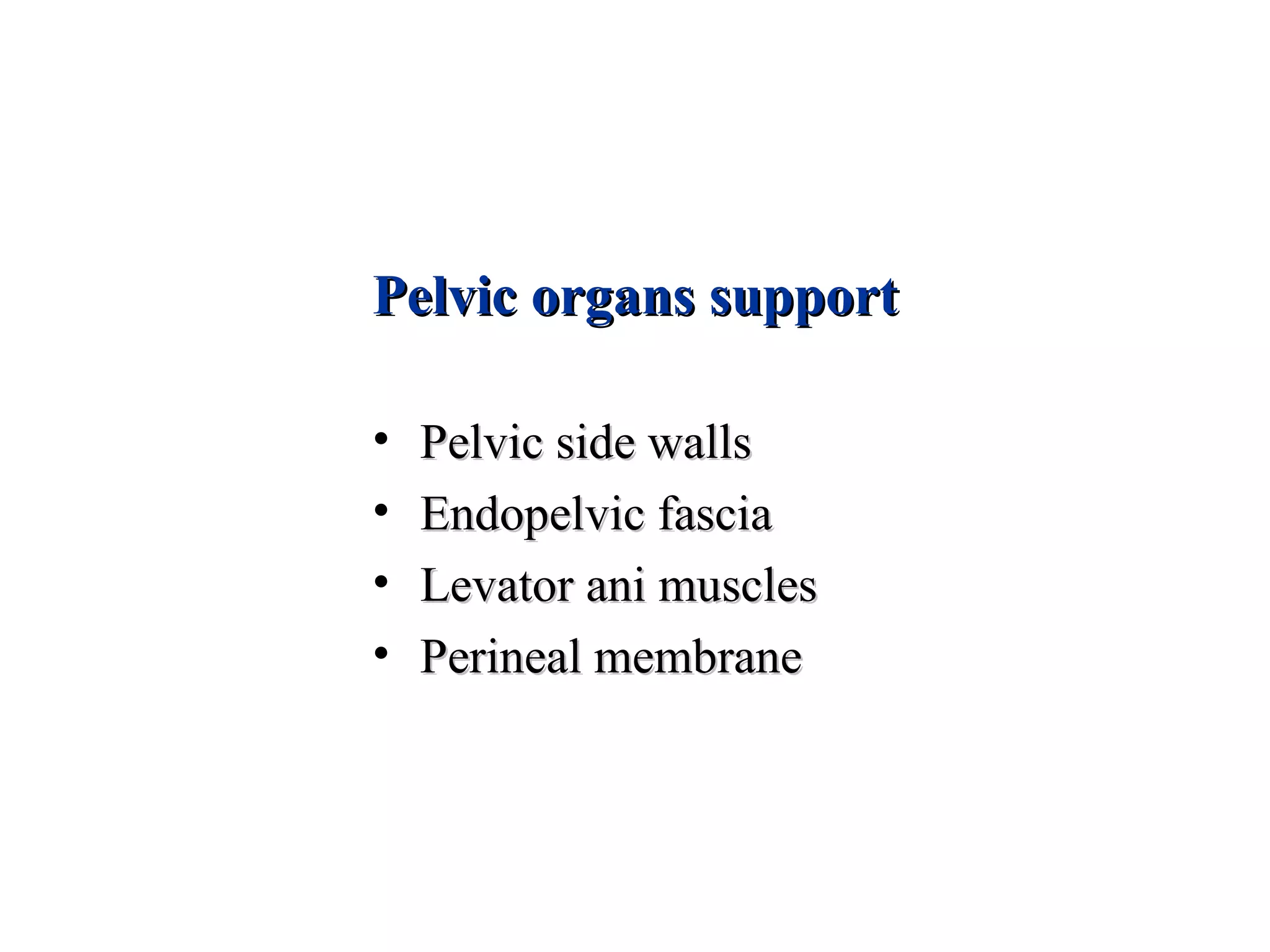 Il pavimento pelvico come unità morfo funzionale meschia | PPT