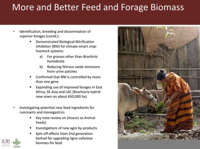 Overview to feeds and feeding systems | PPTX