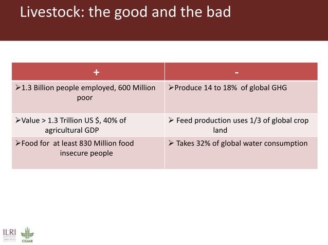 Overview to feeds and feeding systems | PPTX