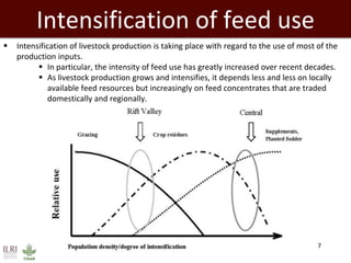 Overview to feeds and feeding systems | PPT
