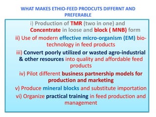 Innovated feed solutions: Ethio-Feed Plc | PPTX
