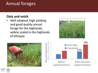 Opportunities for forage improvement through the ILRI Genebank | PDF
