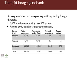 ilri forage grass and legumes gene bank.pptx
