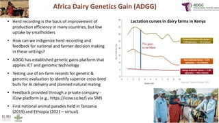 Better lives through livestock: ILRI in East Africa focus on dairy | PPTX