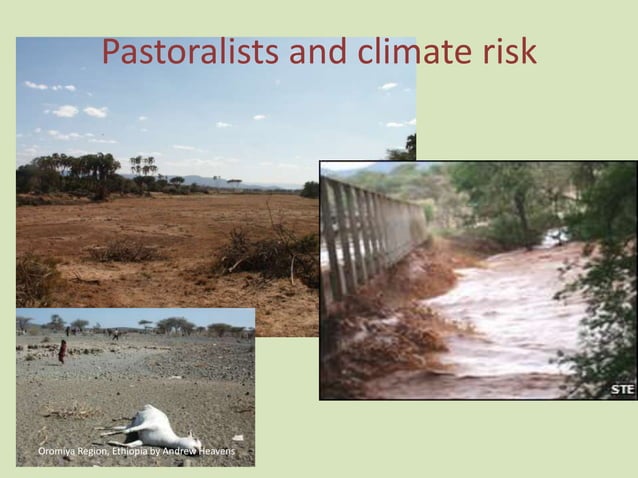 Climate variability and climate change in pastoral systems | PPTX ...
