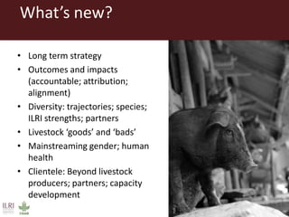 Livestock research for food security and poverty reduction: ILRI ...