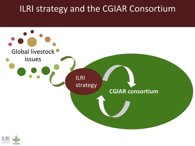 Livestock Research For Food Security And Poverty Reduction Ilri