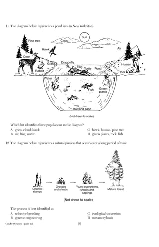 Intermediate level science test grade 8 edition | PDF