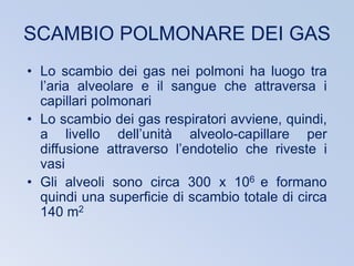 Il sangue e gli scambi dei gas respiratori | PPTX