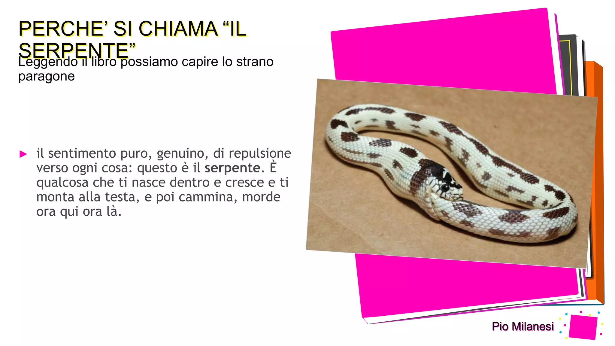 IL SERPENTE - recensione libro.pptx