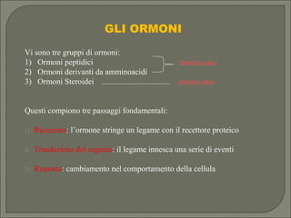 Il sistema endocrino | PPT