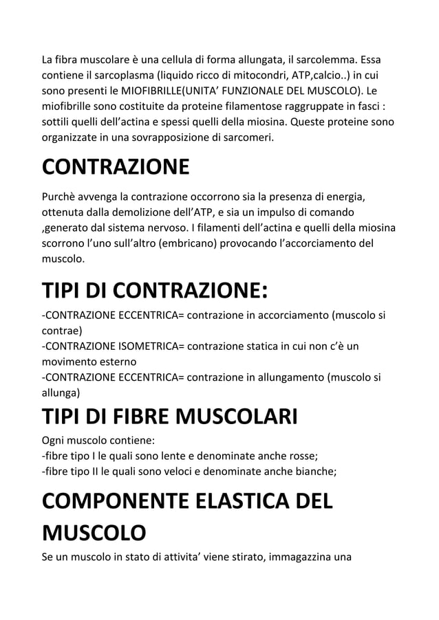 Il sistema muscolare | PDF