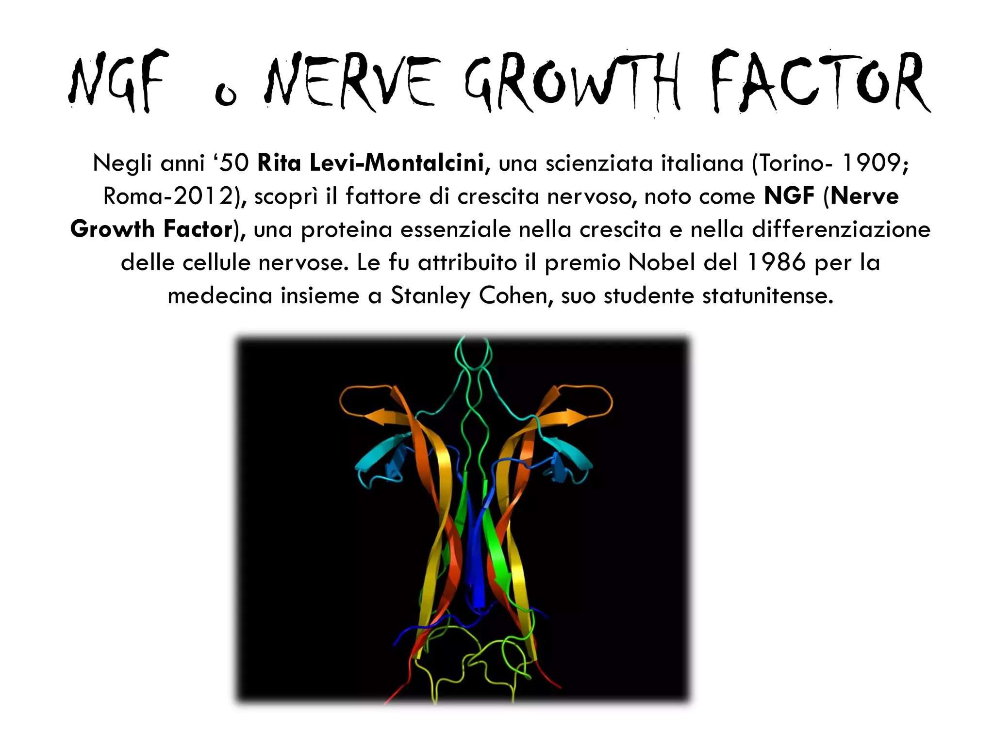 Il sistema nervoso | PDF