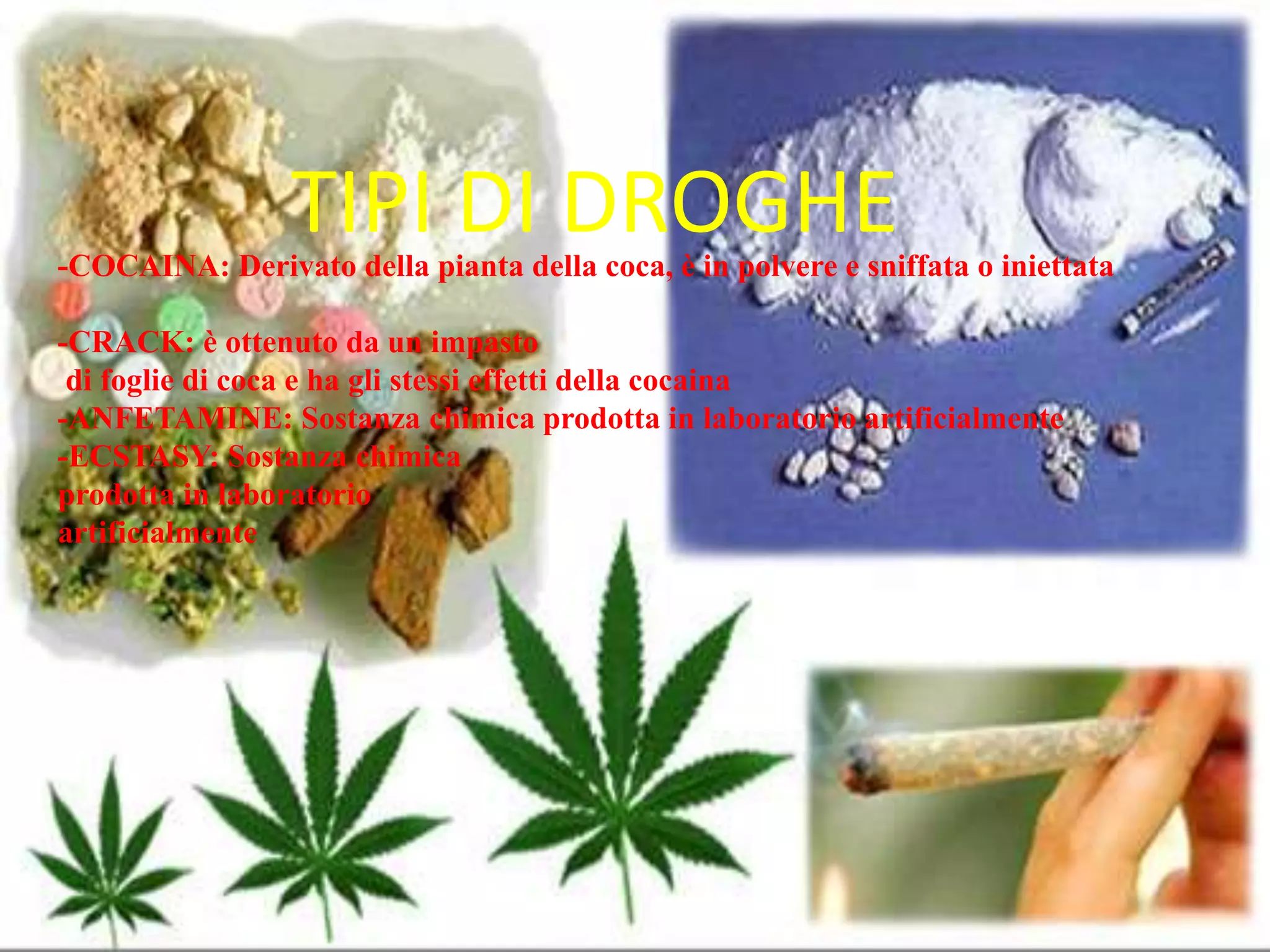 Il sistema nervoso le droge e l' alcol | PPTX