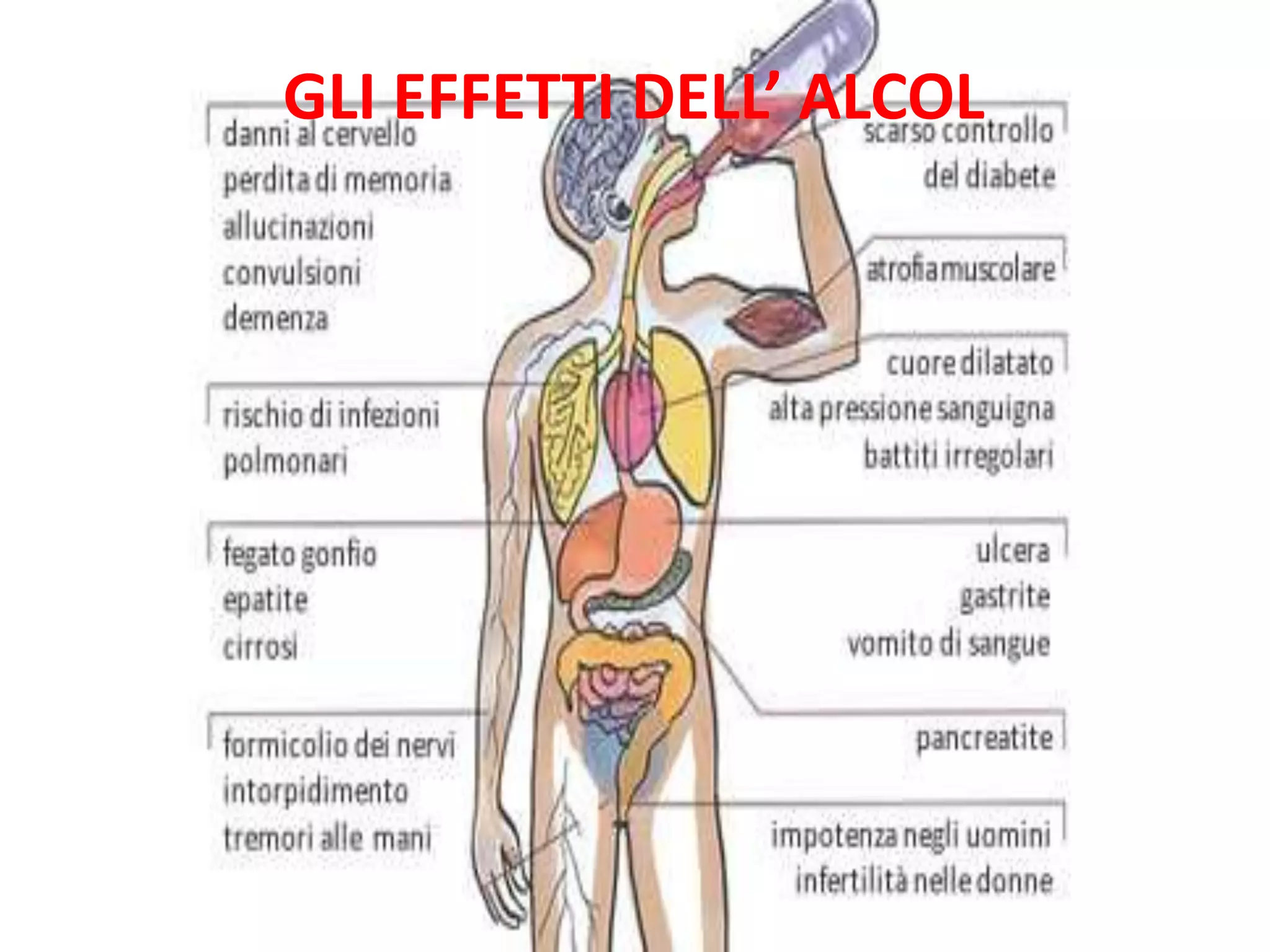 Il sistema nervoso le droge e l' alcol | PPTX