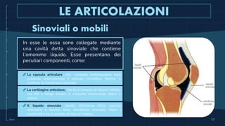 Il sistema scheletrico.pptx