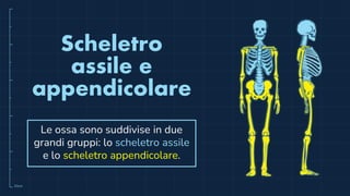 Il sistema scheletrico.pptx