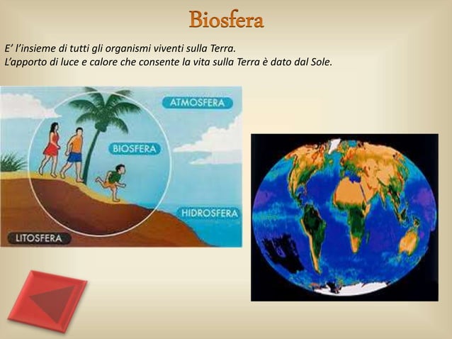 Il sistema terra | PPTX | Geography | Science